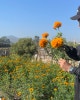 멕시코 죽은자의 날 영화 코코의 배경이 된 축제 총정리 네이버 블로그